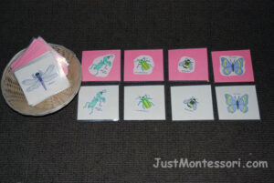 Week 27 Day 1 – Montessori Curriculum – Cultural & Language