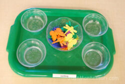 Week 27 Day 1 – Montessori Curriculum – Cultural & Language