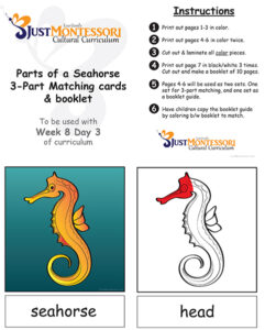 Parts of a Seahorse (Booklet & 3-Part-Matching) – Montessori Curriculum ...