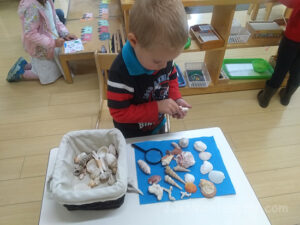 Summer Activities – Montessori Curriculum – Cultural & Language